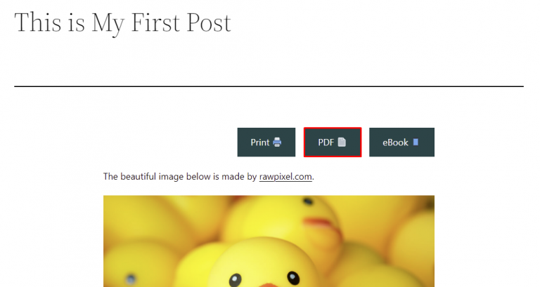 WordPress Export Posts: 4 Methods That Work