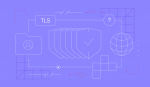 What is TLS? Transport Layer Security explained