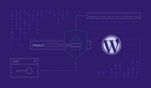 Understanding WordPress Nonce and How to Create It
