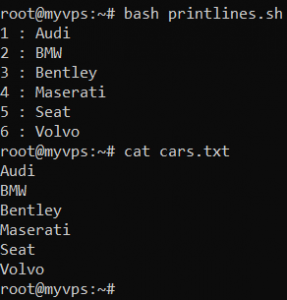 25 Easy Bash Script Examples To Get You Started