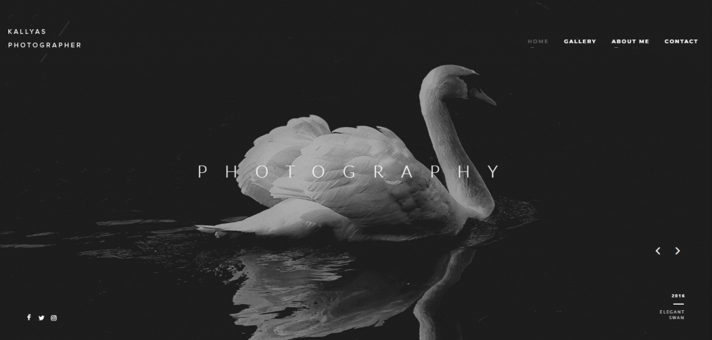 34 Best WordPress Photography Themes in 2024