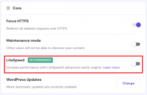 How to Speed up WordPress Website: 12 Optimization Methods
