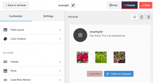 How to Embed an Instagram Feed to WordPress in 5 Quick Steps