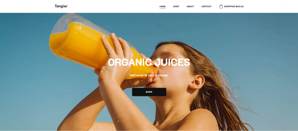 Best Website Design Templates For Hostinger Website Builder