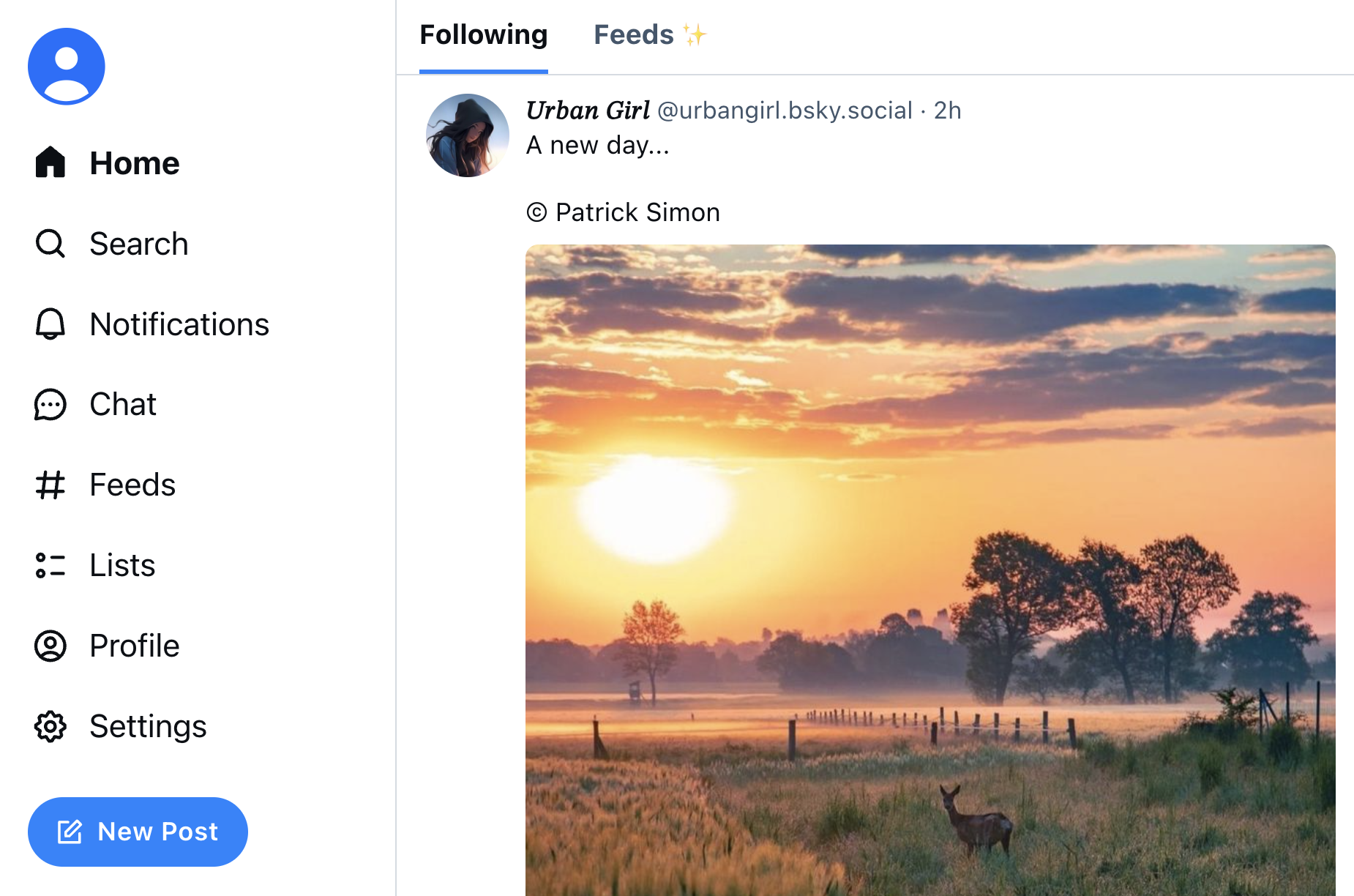 How to Host a Bluesky PDS Using a Federated Instance