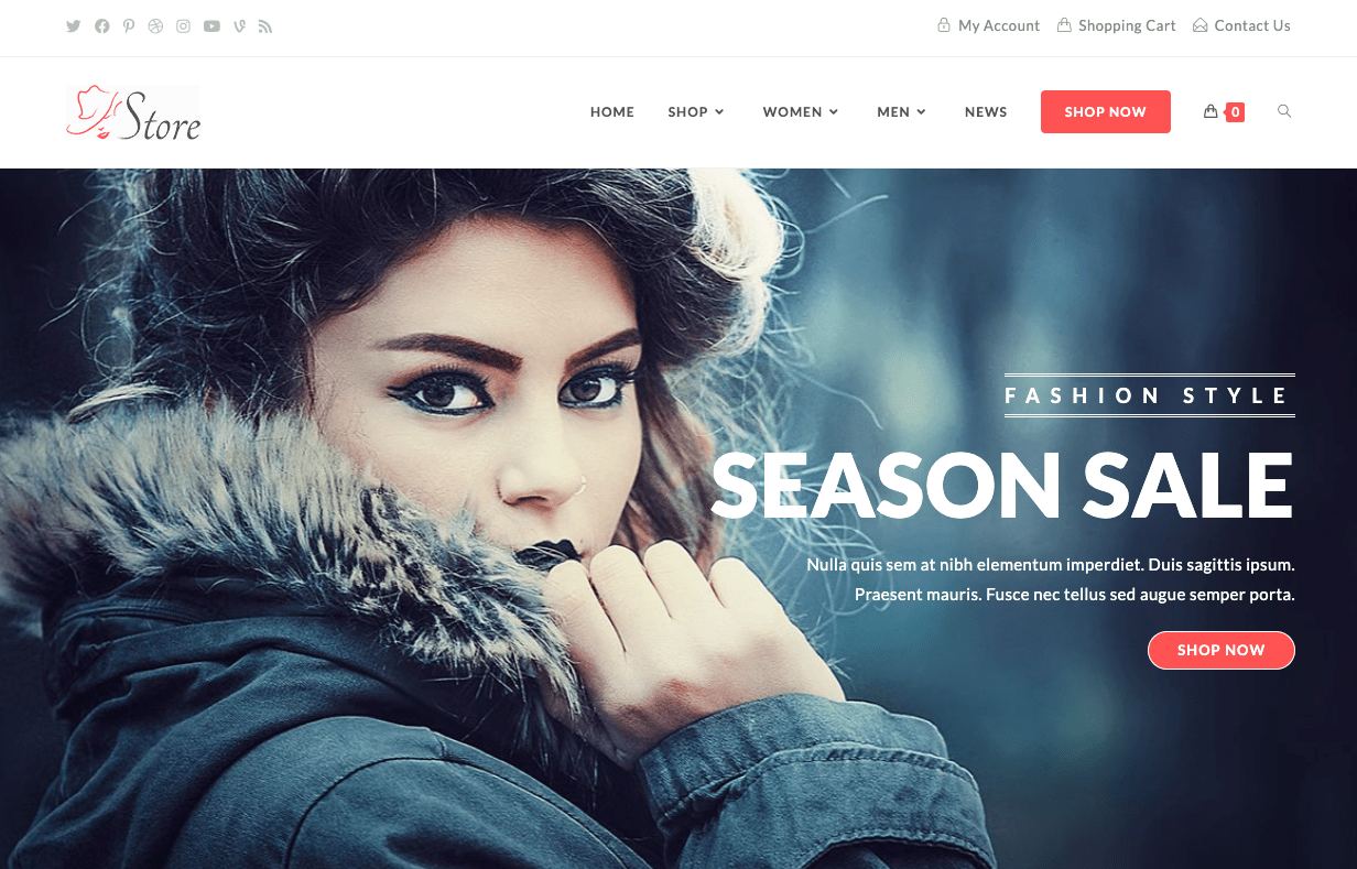 20 Best WordPress eCommerce Themes for 2025