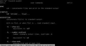 How to Use the Linux cat Command With Examples