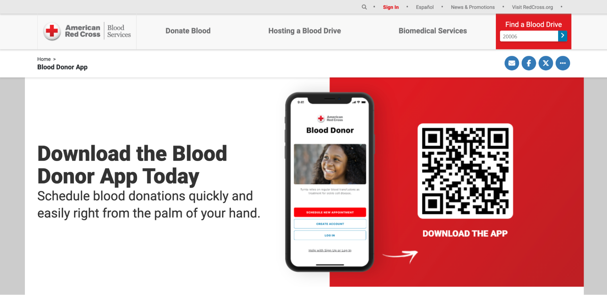 QR code for donations: how to generate and use them + tips