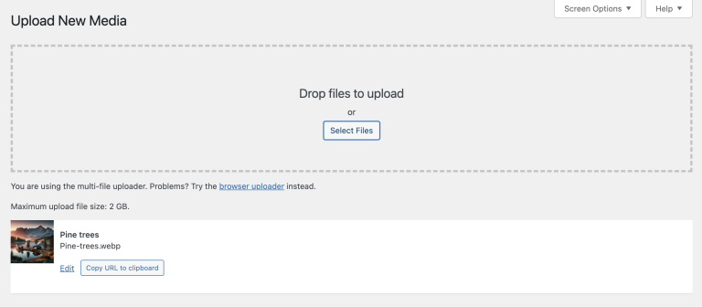 How to fix invalid JSON response error in WordPress