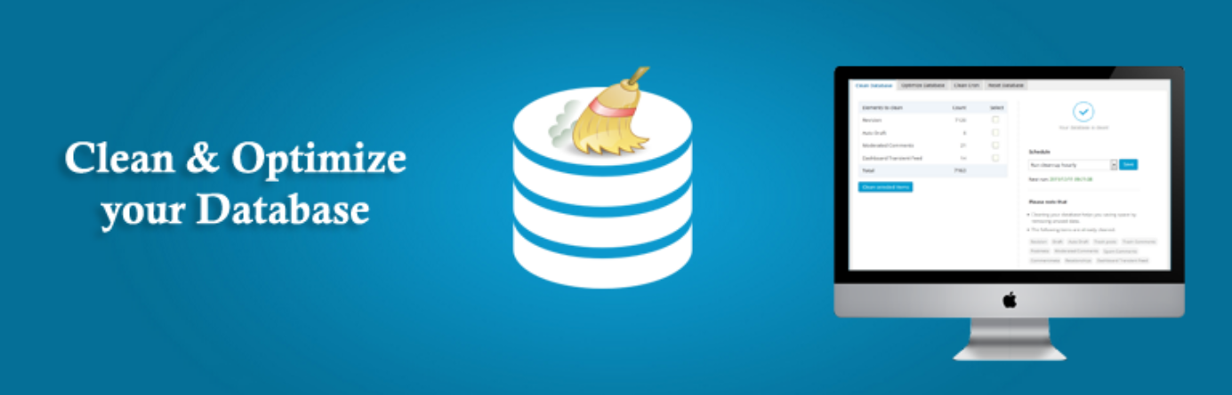 10 best WordPress database plugins in 2025