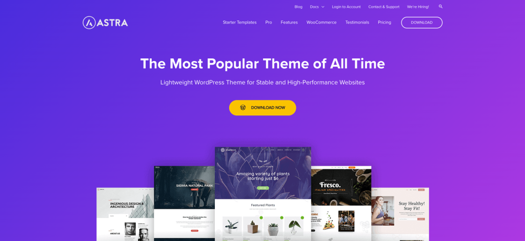 Is WordPress free? An overview of contributing factors