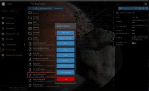 How to configure Minecraft server properties file