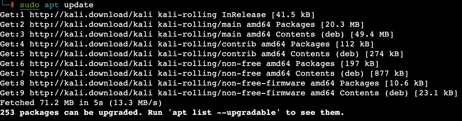 How to safely update Kali Linux