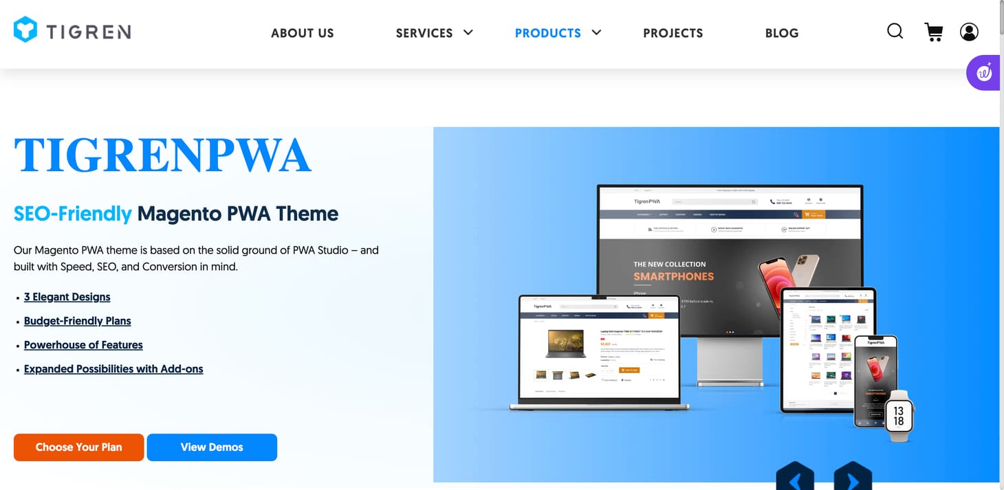 15 best Magento themes for 2025