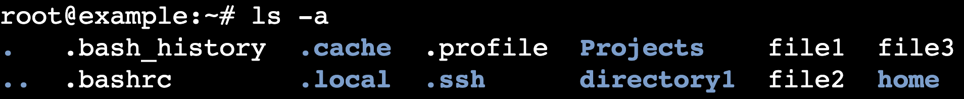 How to use the ls command in Linux?