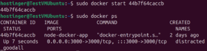 How to use docker exec command