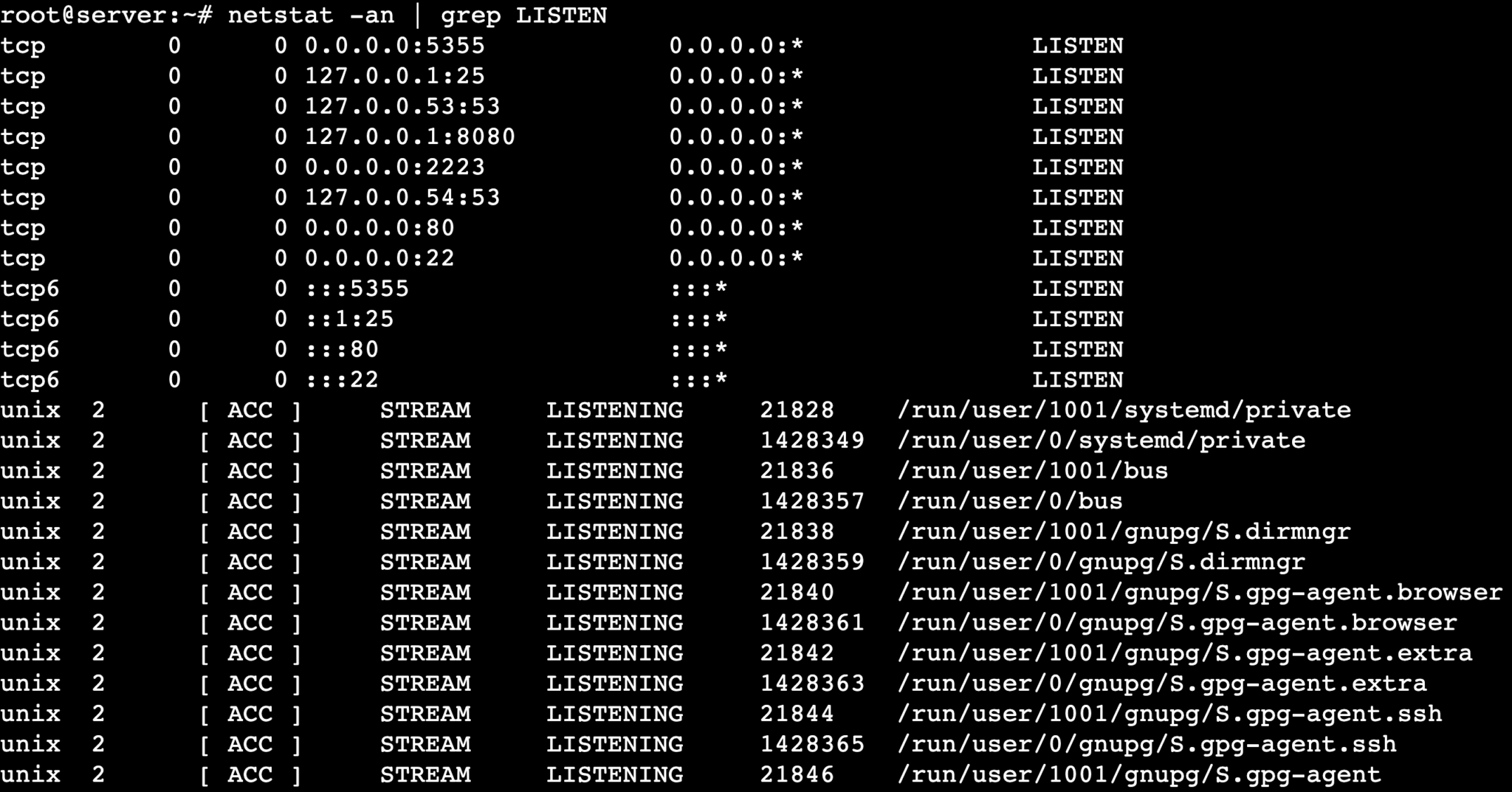 How to use the netstat command in Linux