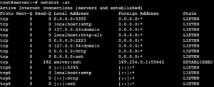 How to use the netstat command in Linux