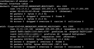 How to use the netstat command in Linux