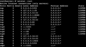 How to use the netstat command in Linux