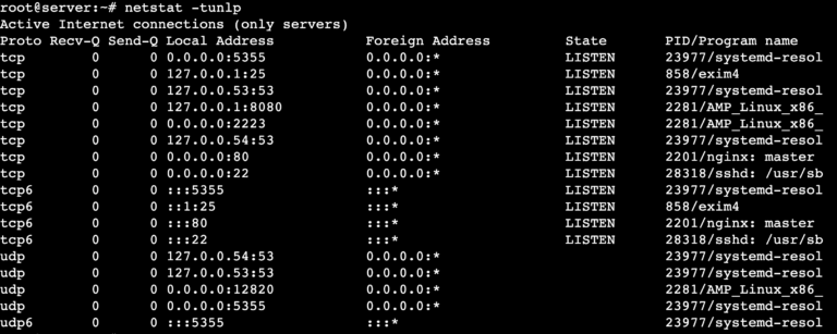 How to use the netstat command in Linux