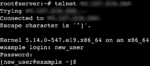 Linux telnet command with network troubleshooting examples