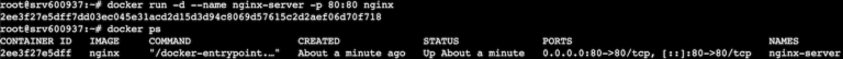 How to run Nginx in Docker