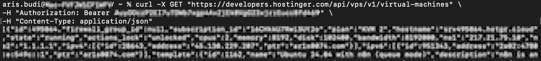 How to run Hostinger API MCP server