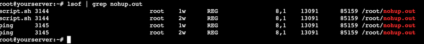 How do you use the nohup command in Linux?