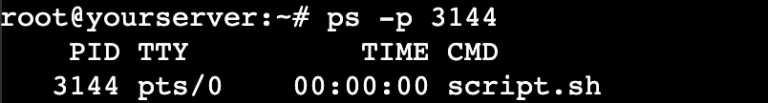 How Do You Use The Nohup Command In Linux