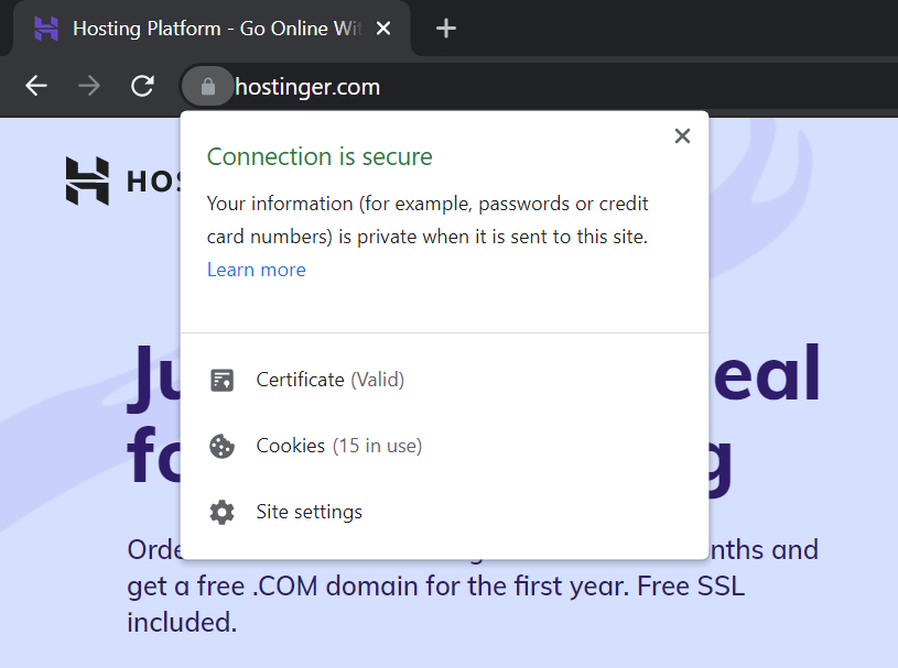 Dedicated IP: What It Is and Does Your Website Need One?
