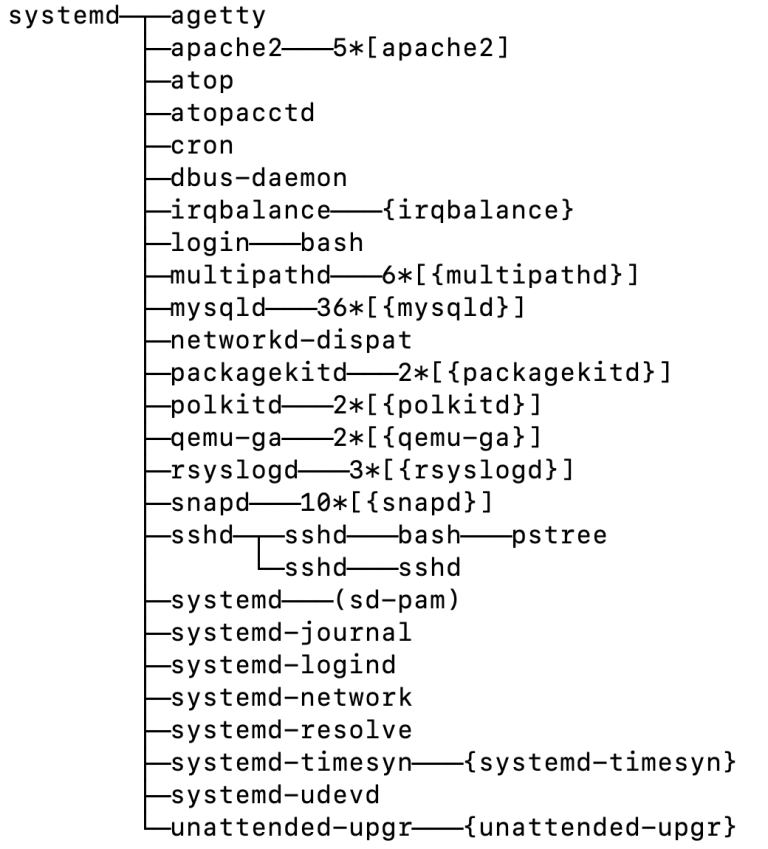 How to check and list running processes in Linux