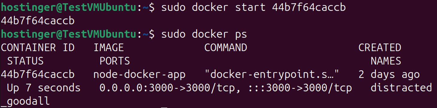 How to use docker exec command