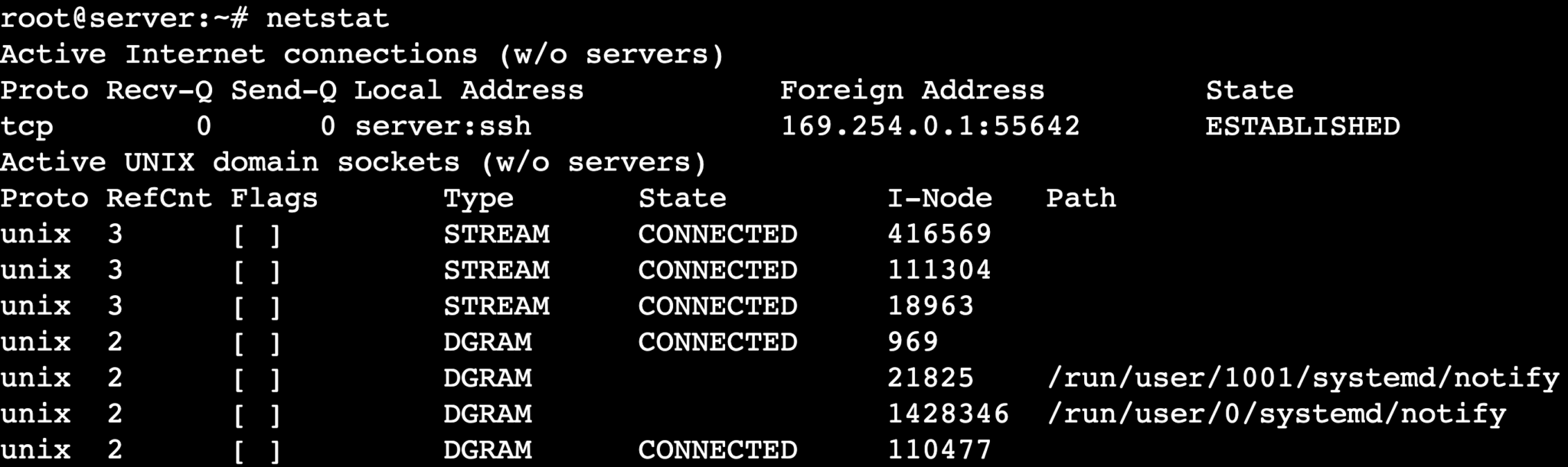 How to use the netstat command in Linux