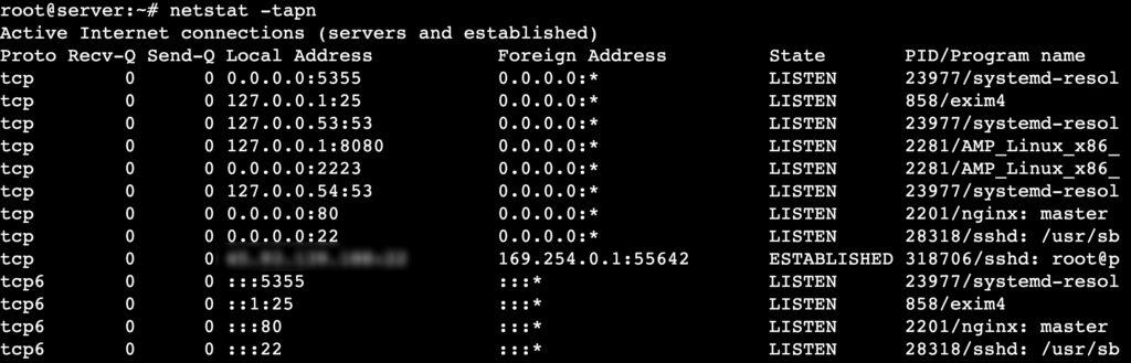 How to use the netstat command in Linux
