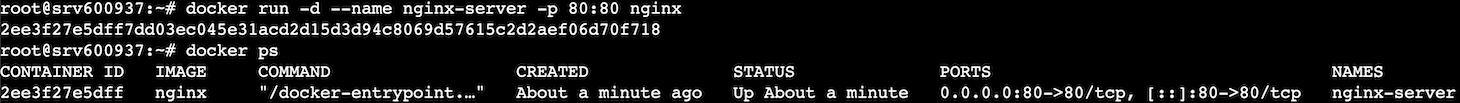 How To Run Nginx In Docker